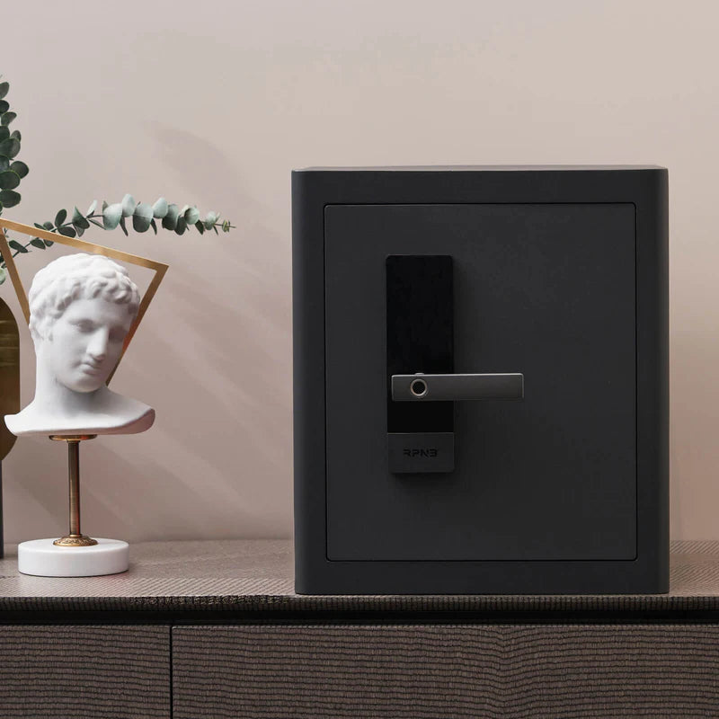 RPNB Smart Touchscreen Home Safe RPHS45 – Mammoth Safes