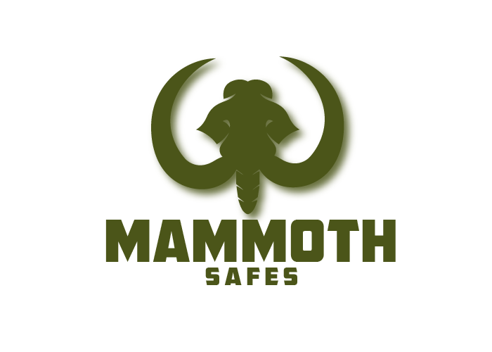 Mirror Gun Safes | Concealment Mirrors with In-Wall Gun Safes – Mammoth ...