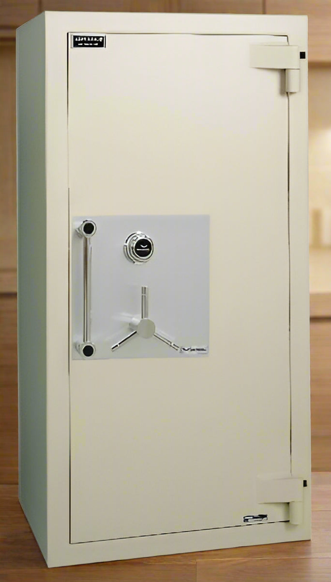 AMSEC CE6528 AMVAULT TL-15 Fire Rated Composite Safe – Mammoth Safes